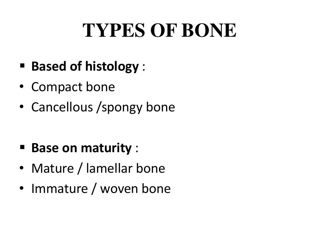 Histology - bone.pptx