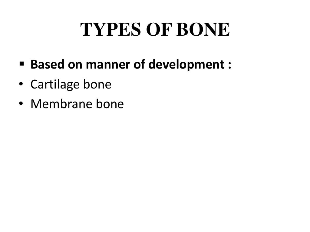 Histology - bone.pptx