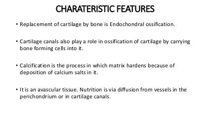 Histology - Bone and Cartilage.pptx