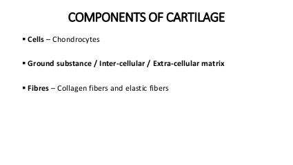 Histology - Bone and Cartilage.pptx