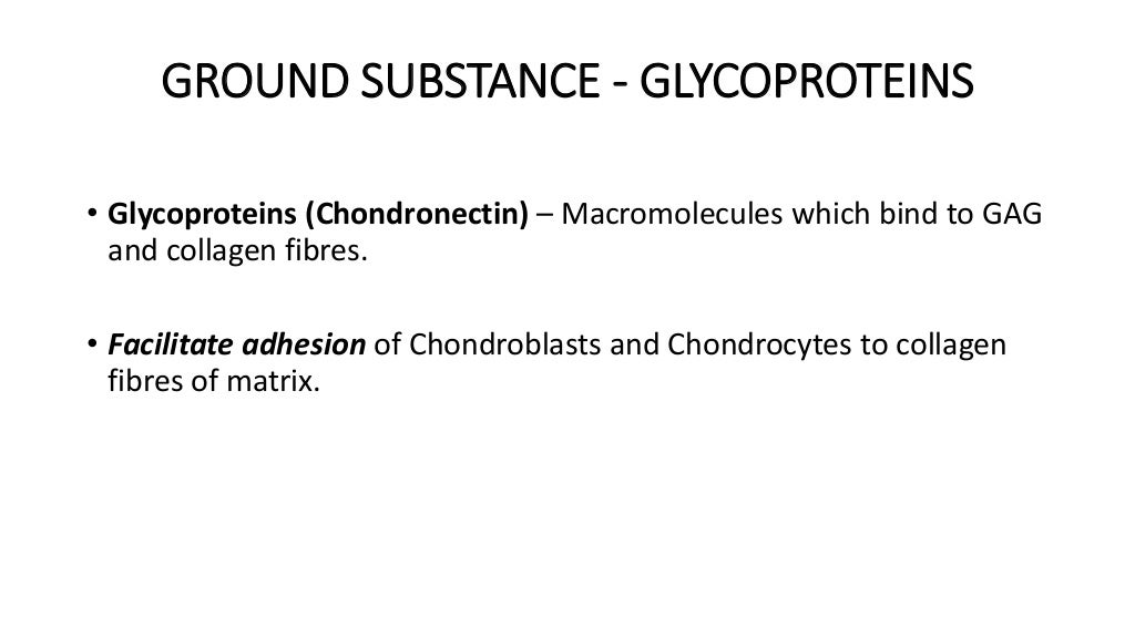 Histology - Bone and Cartilage.pptx