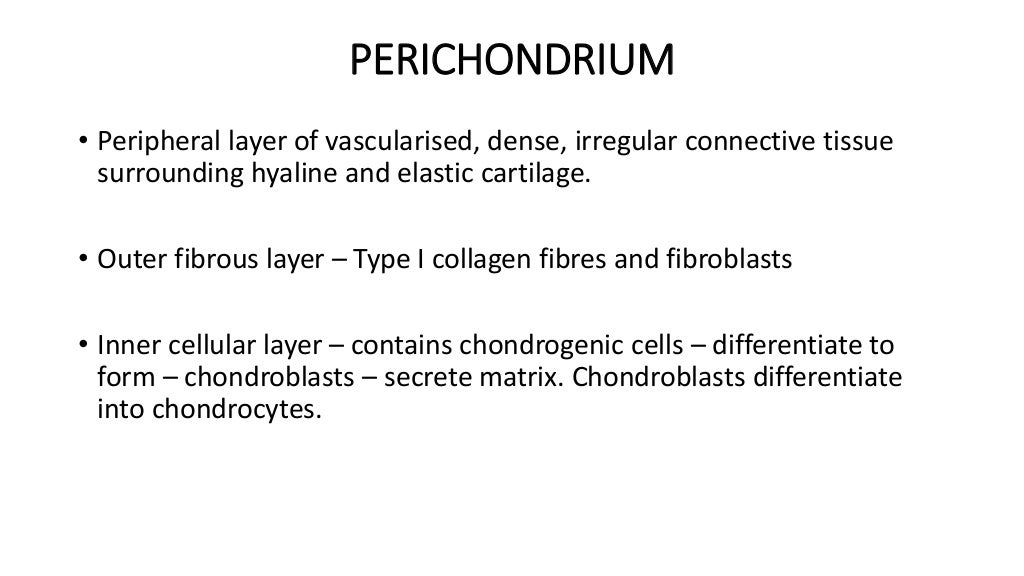 Histology - Bone and Cartilage.pptx