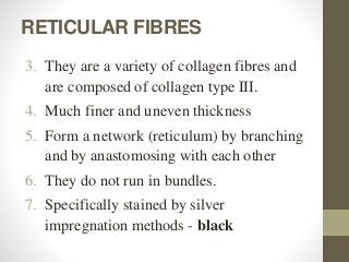Histology - Connective tissue.pptx