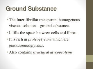 Histology - Connective tissue.pptx