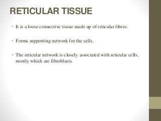 Histology - Connective tissue.pptx