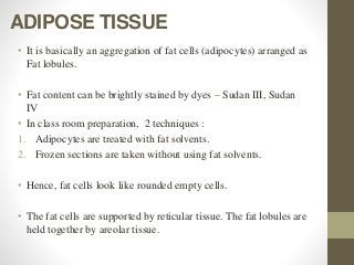 Histology - Connective tissue.pptx