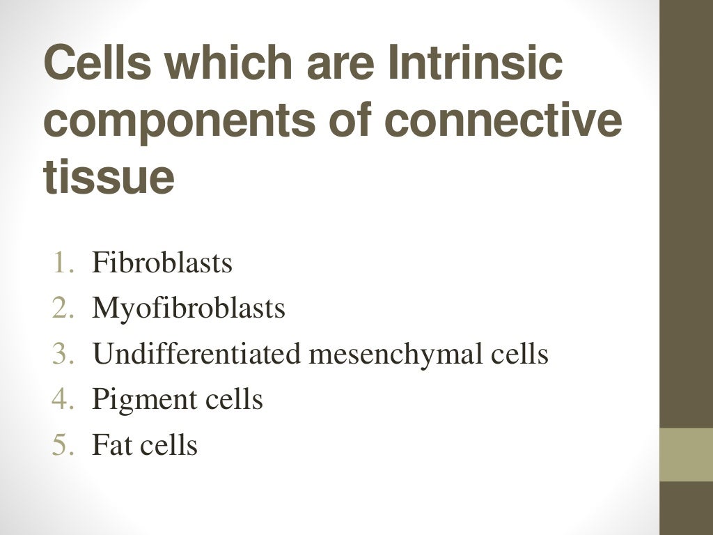 Histology - Connective tissue.pptx