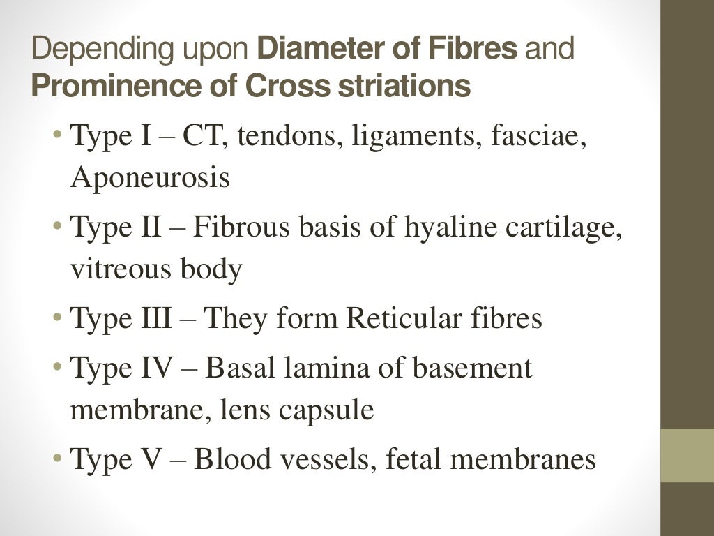 Histology - Connective tissue.pptx