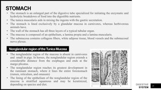 Histology digestive-system | PPT