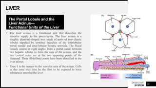 Histology digestive-system | PPT