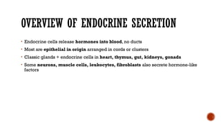 Histology- Endocrine basic for students.pptx