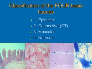 histology educational PowerPoint for students studying medicine | PDF