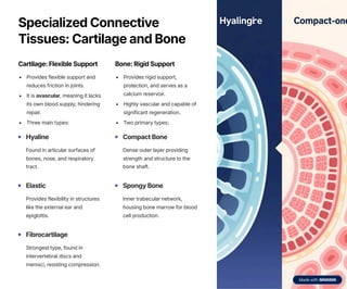 Histology-Essentials-Cells-and-Tissues-of-the-Human-Body.pdf