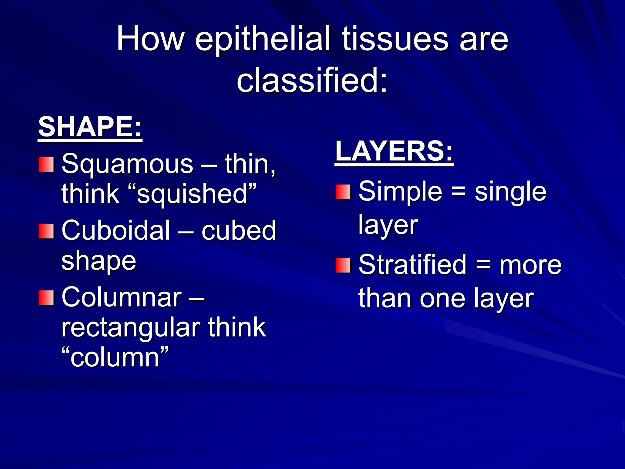 histology-master and its definitation in context | PPT
