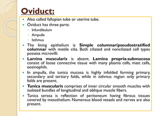 histology-of-female-reproductive-system.pdf