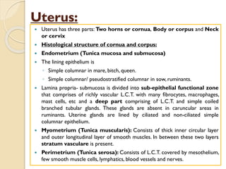 histology-of-female-reproductive-system.pdf