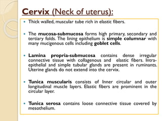 histology-of-female-reproductive-system.pdf
