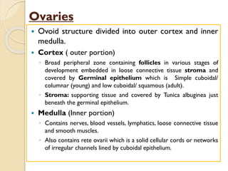 histology-of-female-reproductive-system.pdf
