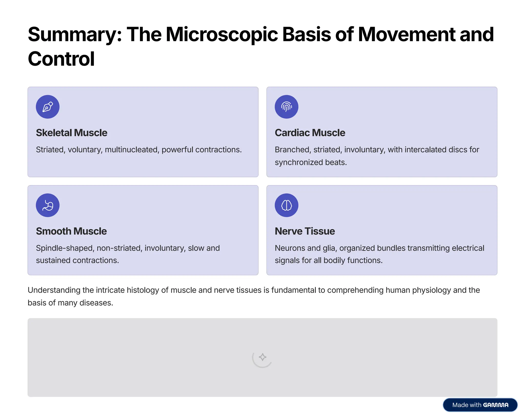 Histology-of-Muscle-and-Nerve-Tissue-Structure-and-Function.pdf