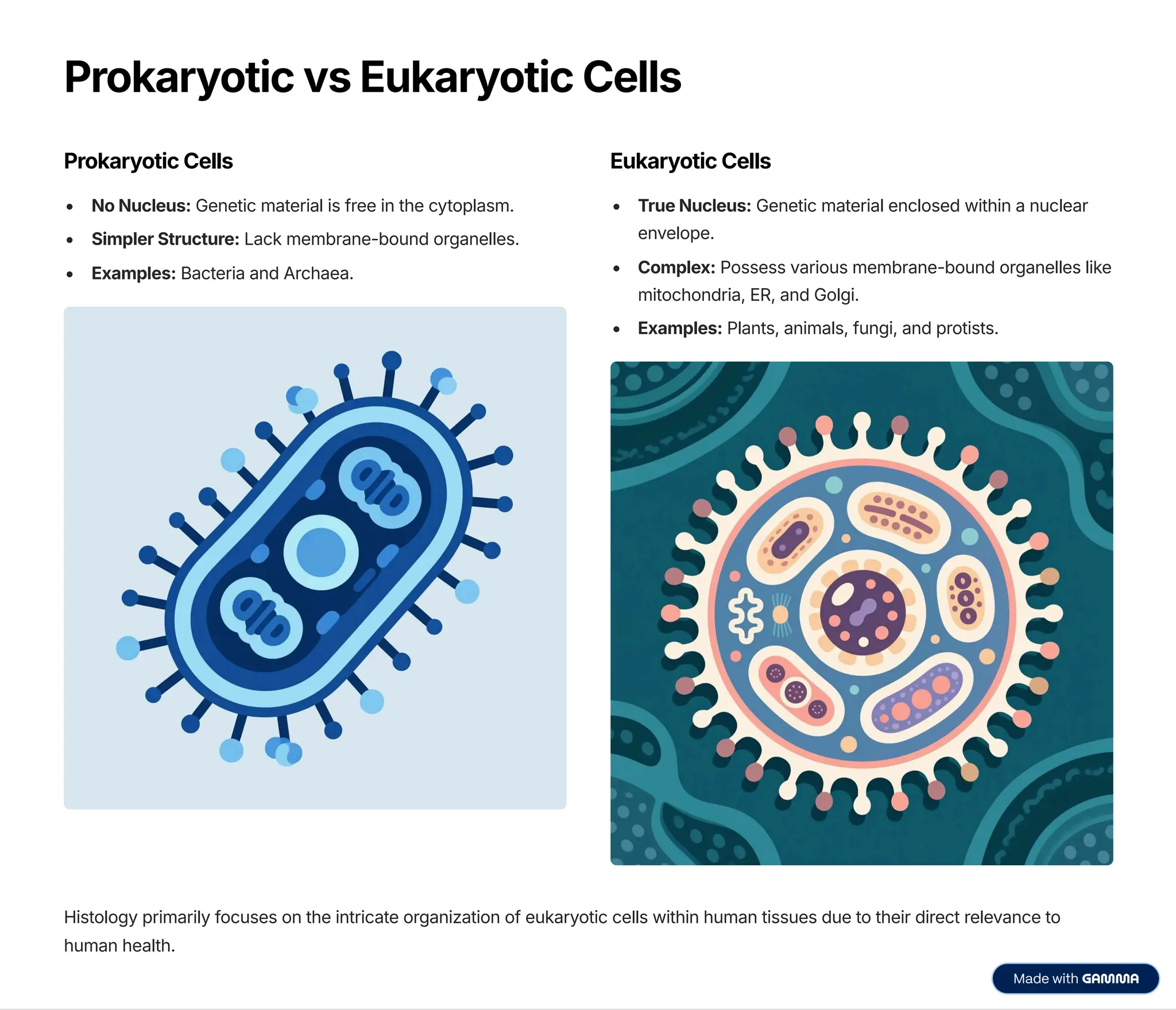 Histology-of-the-Cell-The-Building-Block-of-Life (1).pdf