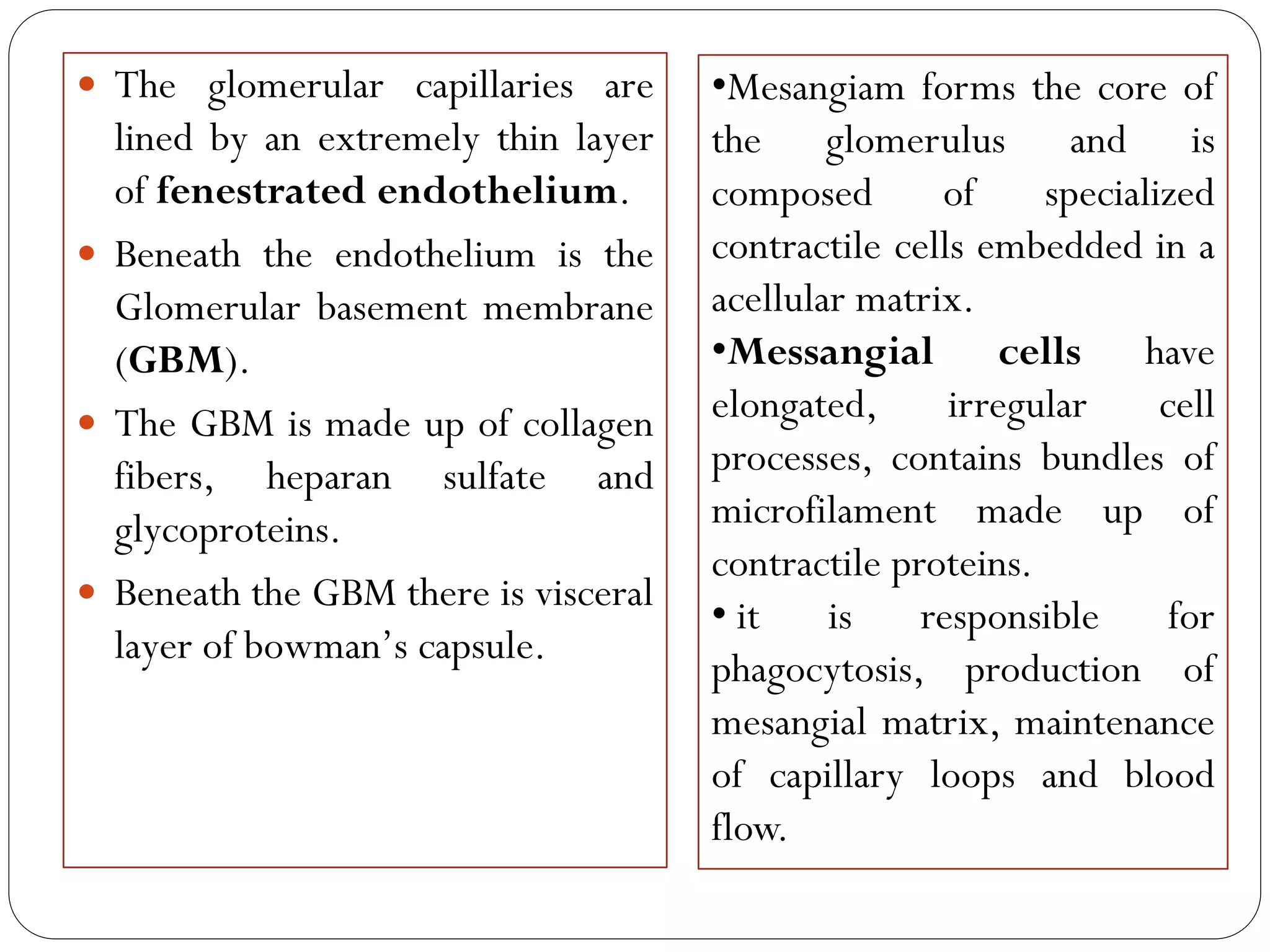Histology-of-urinary-system.pdf