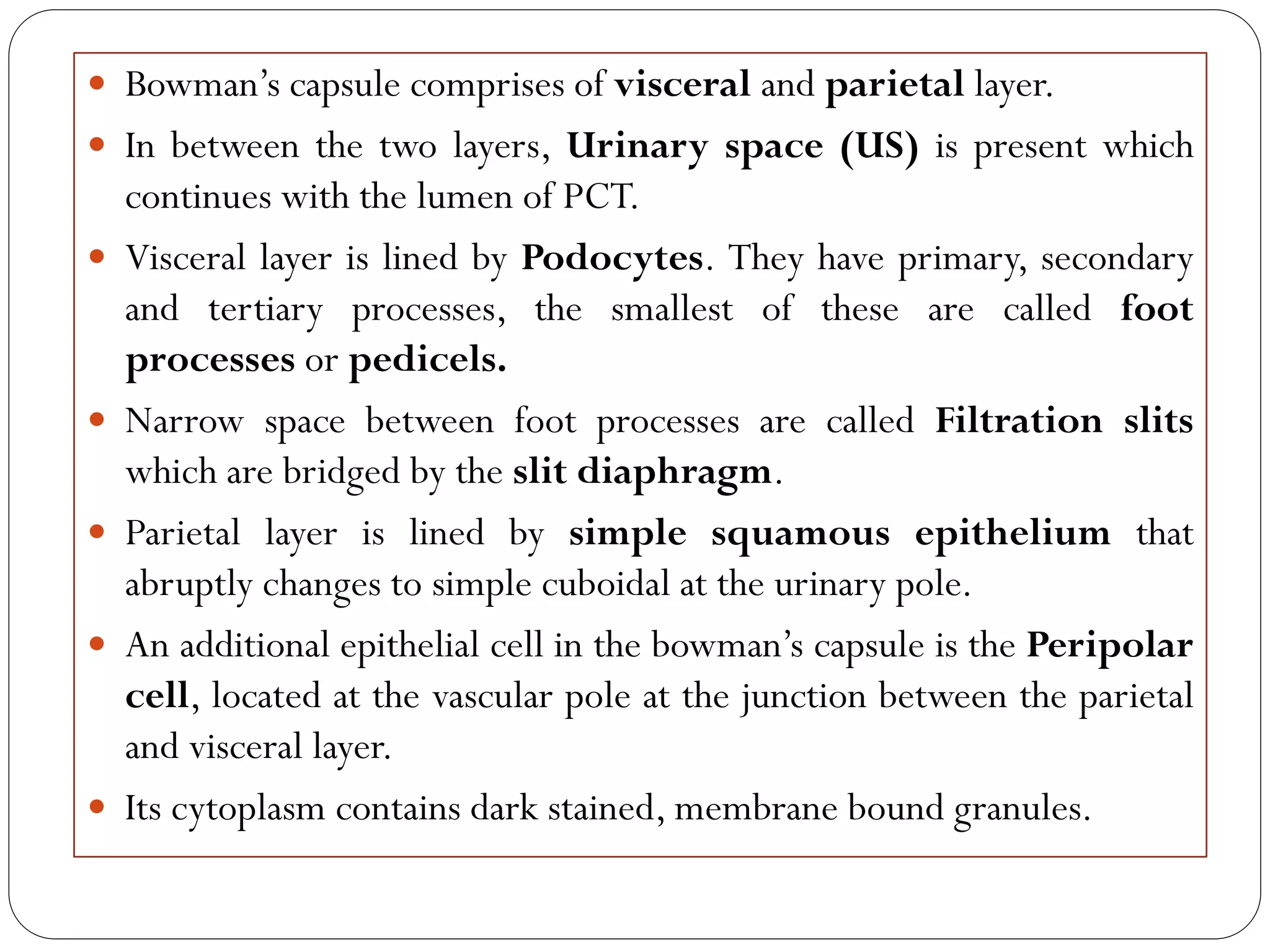 Histology-of-urinary-system.pdf