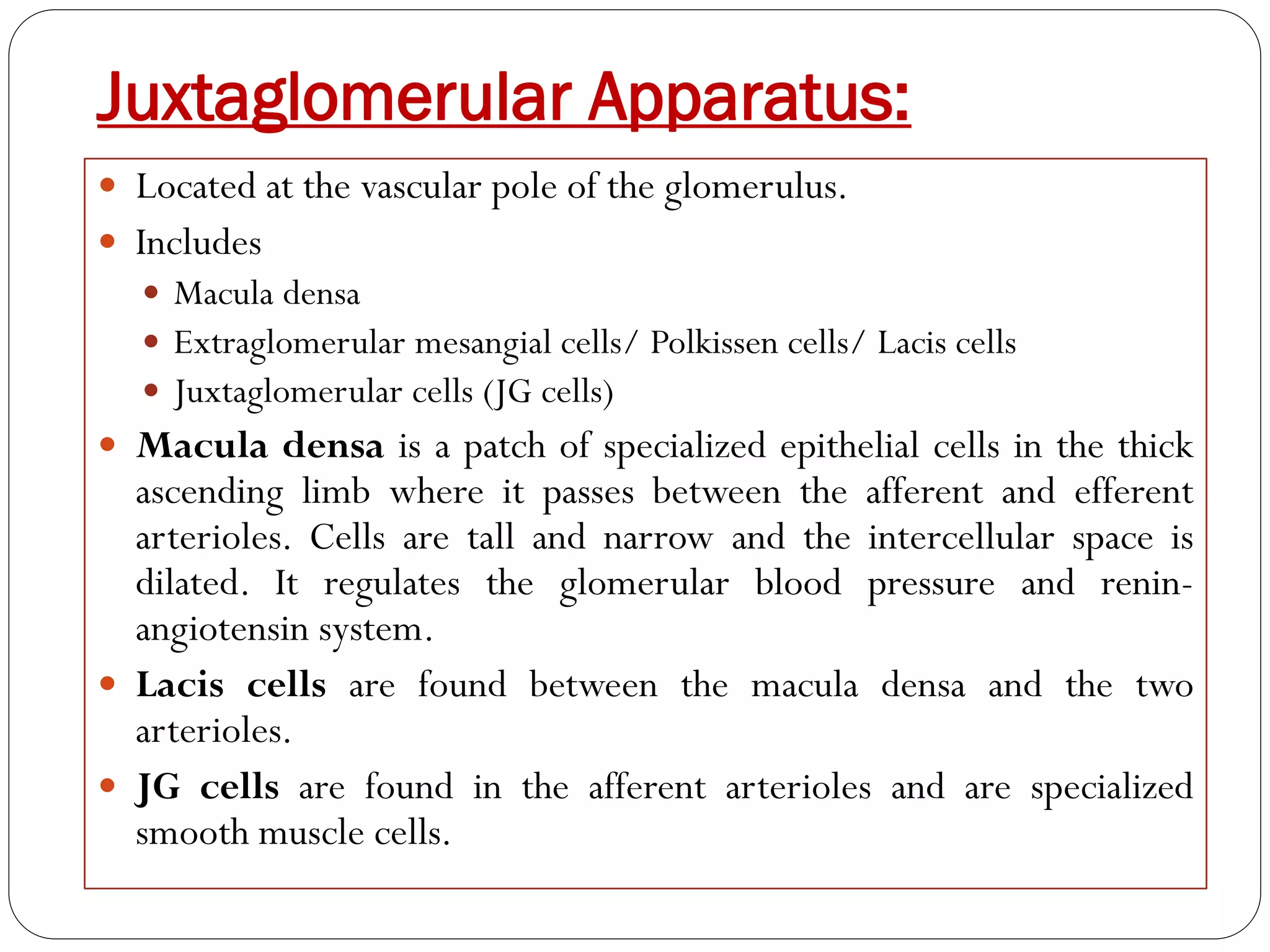 Histology-of-urinary-system.pdf