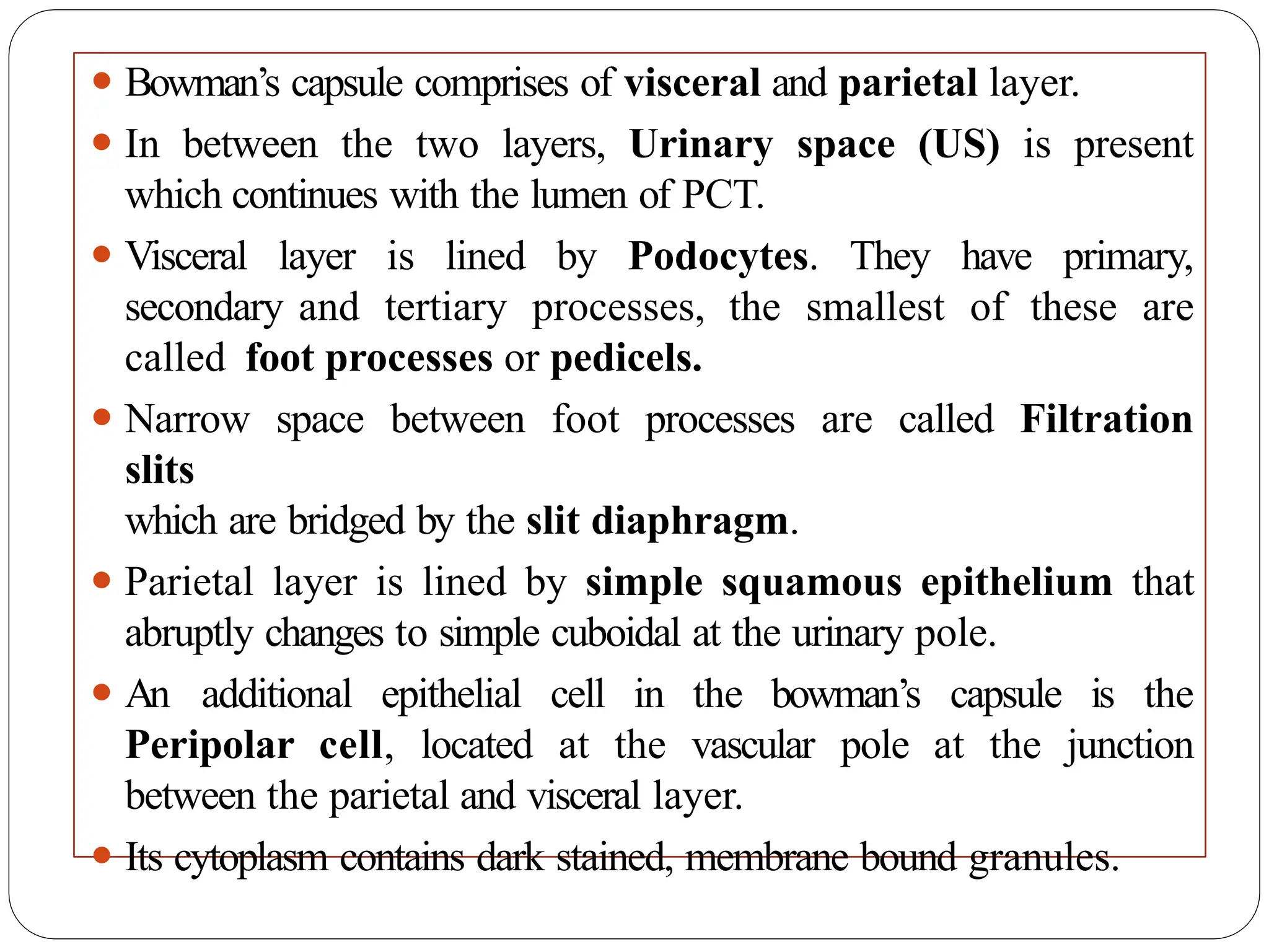 Histology-of-urinary-system.powerpoint notes | PPTX