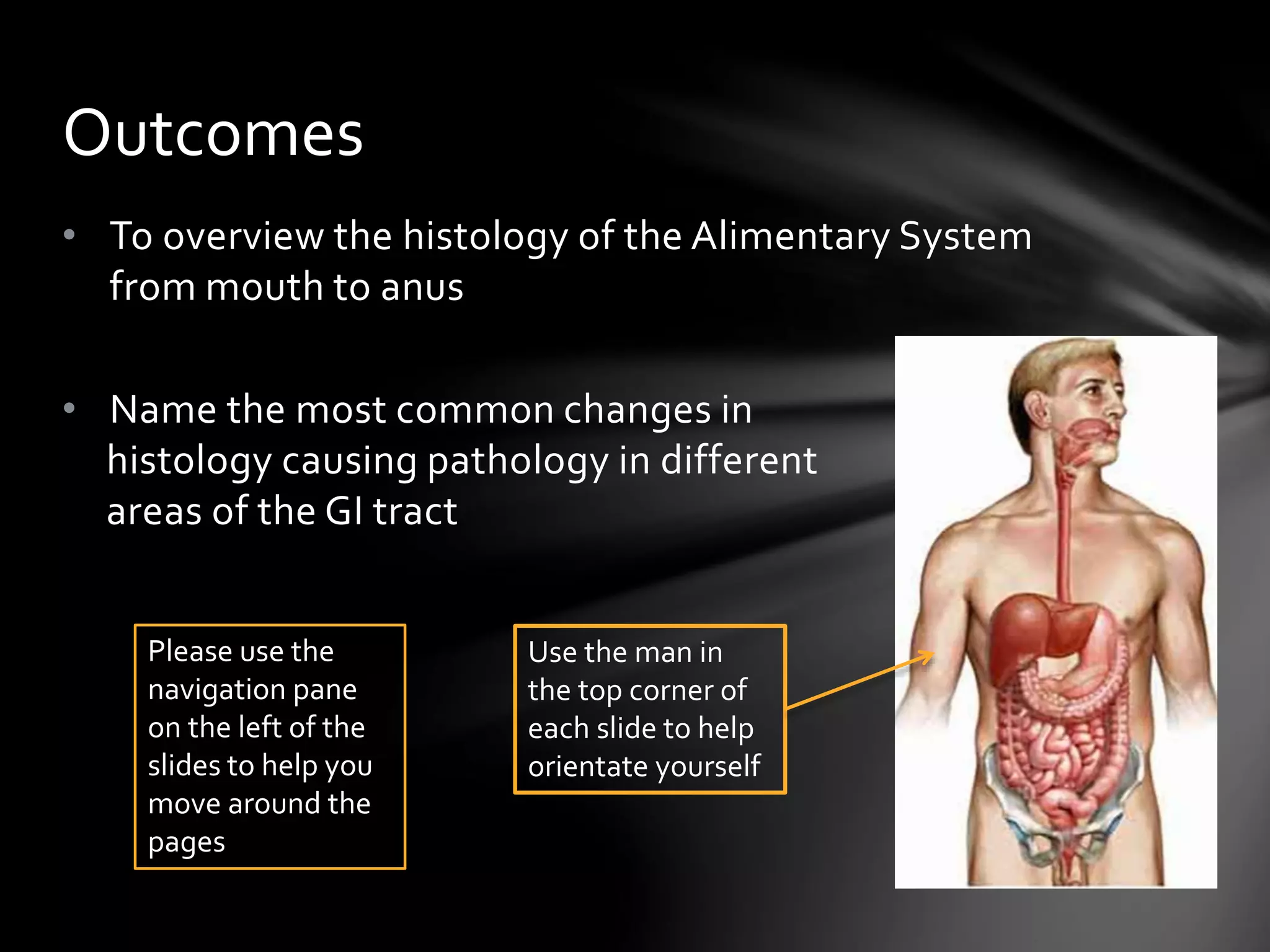 Histology within the GI tract - from cheek to cheek | PPT