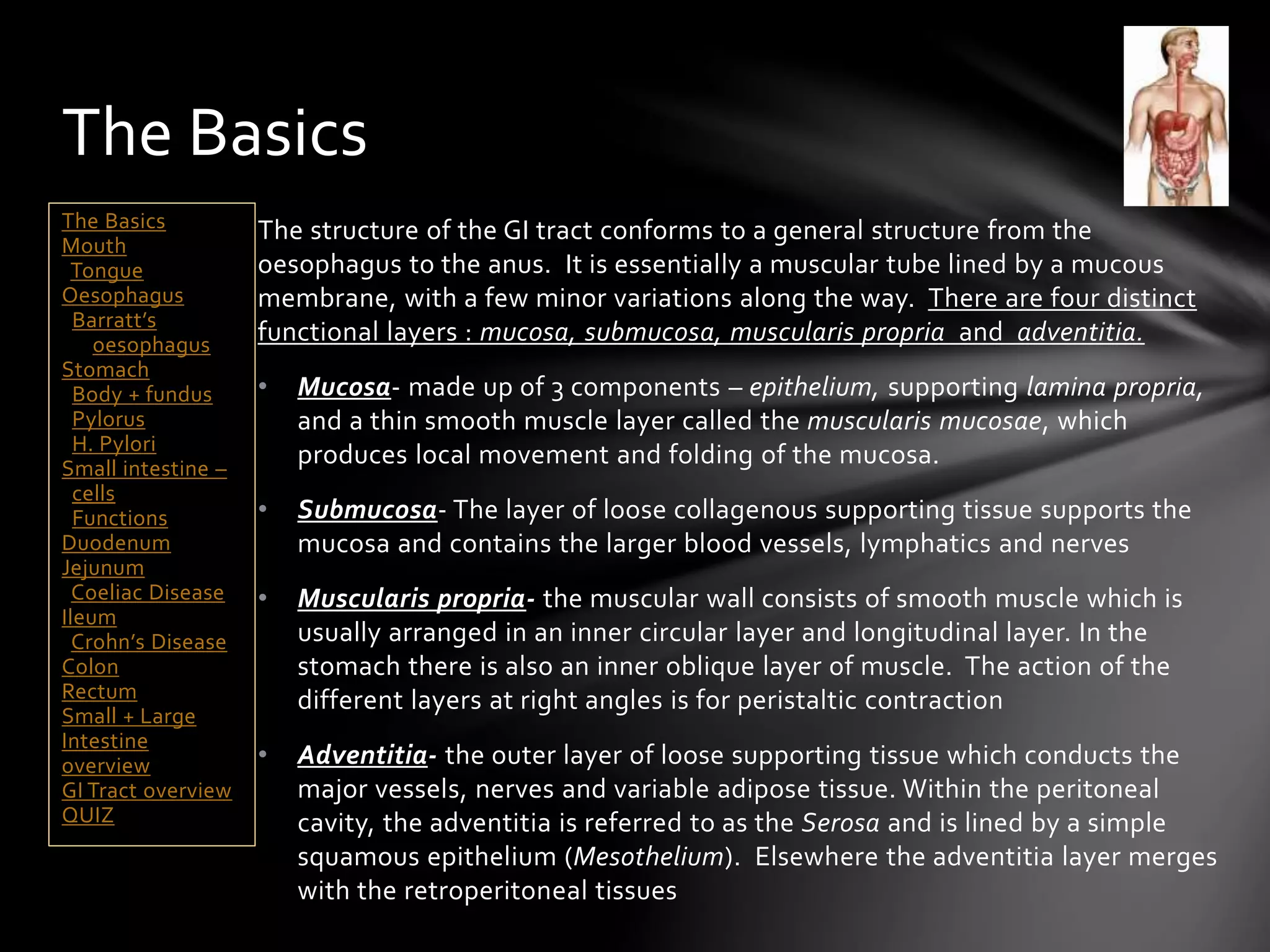 Histology within the GI tract - from cheek to cheek | PPT