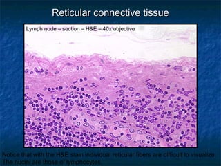 Histology: Connective Tissues | PPT