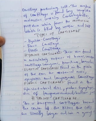 Histology 2024_2025.pdf for basic histology | PDF