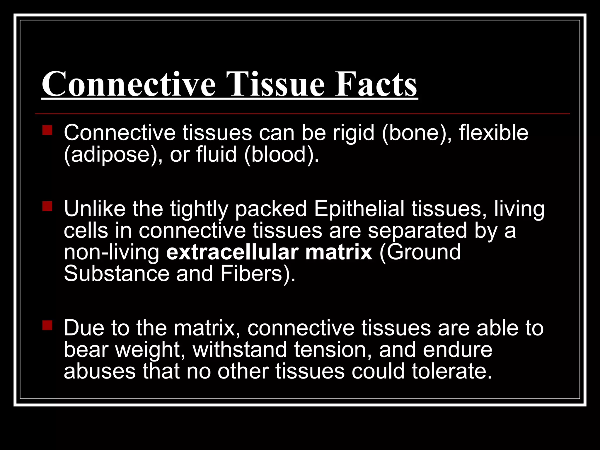 Histology 2 connective_tissue | PPT