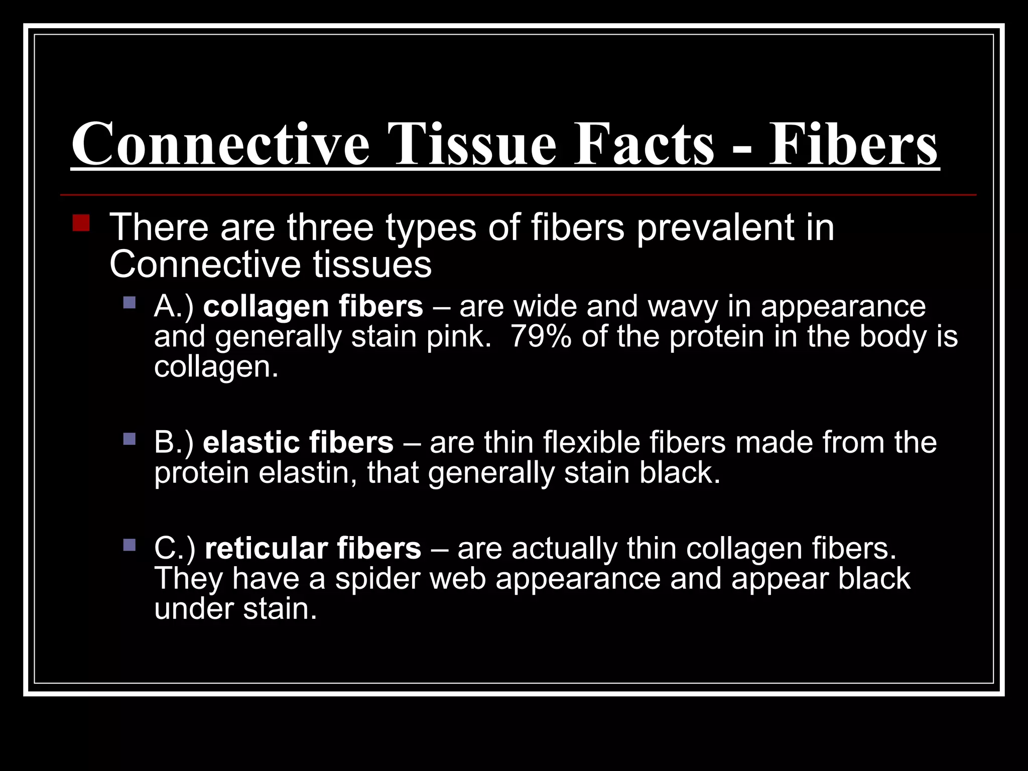 Histology 2 connective_tissue | PPT | Bone and Joint Conditions ...