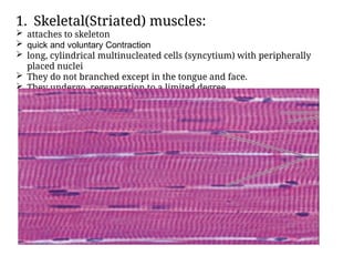 Histology_(8)_Muscular_tissues Physiotherapy.pptx