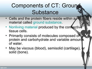 Tissue Level of Organization (Anatomy) | PPT