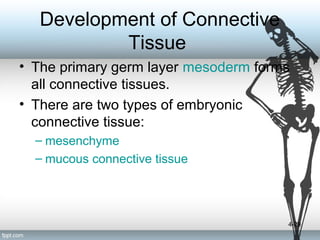 Tissue Level of Organization (Anatomy) | PPT