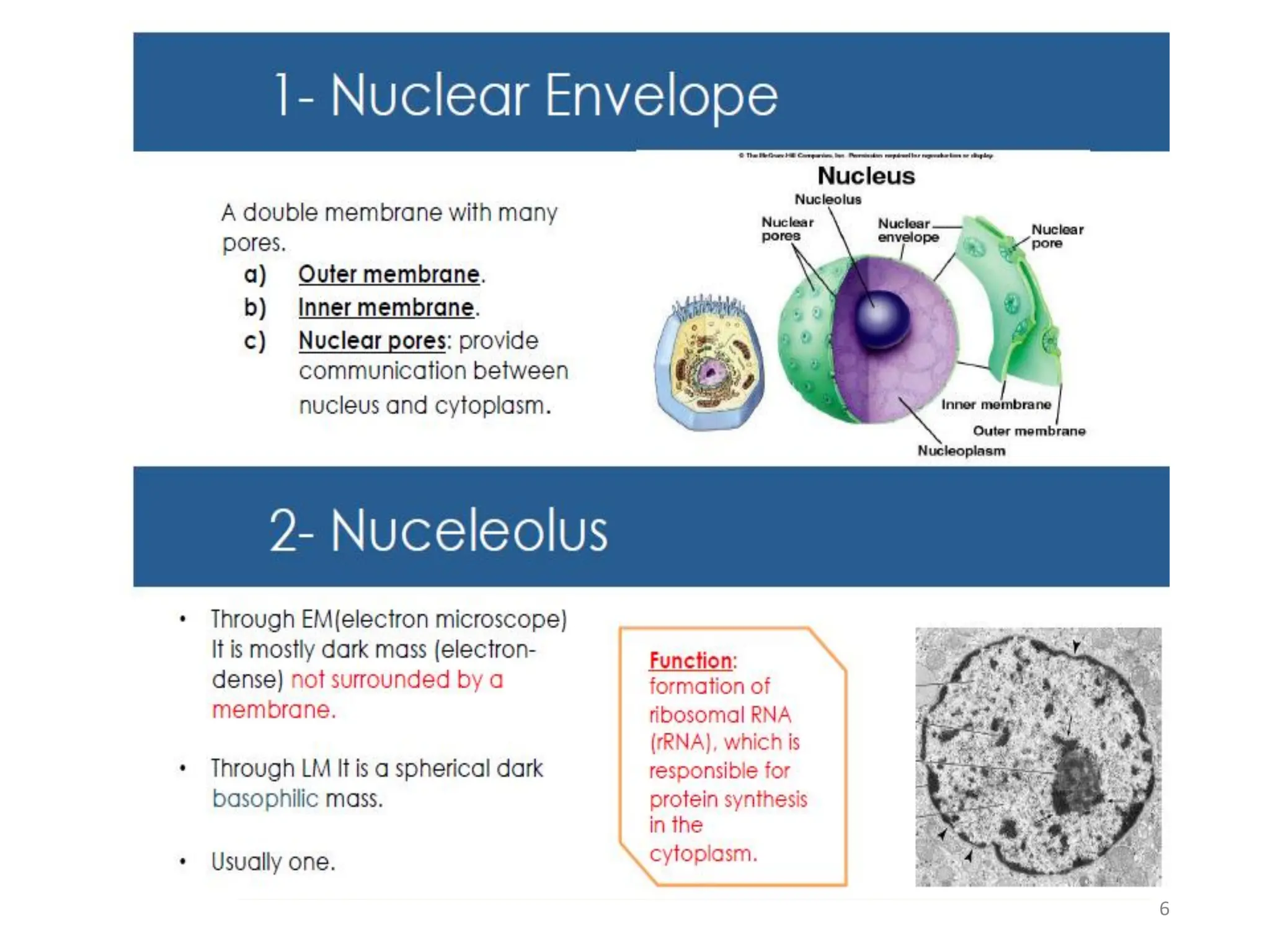For students Histology and Cell Structure.pdf