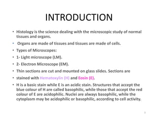 For students Histology and Cell Structure.pdf