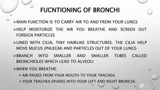 HISTOLOGY AND FUNCTIONING OF TRACHEA AND BRONCHI.pptx