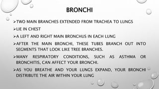 HISTOLOGY AND FUNCTIONING OF TRACHEA AND BRONCHI.pptx