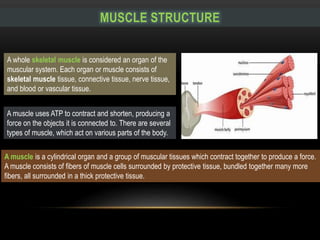 Histology and physiology of muscle.pptx