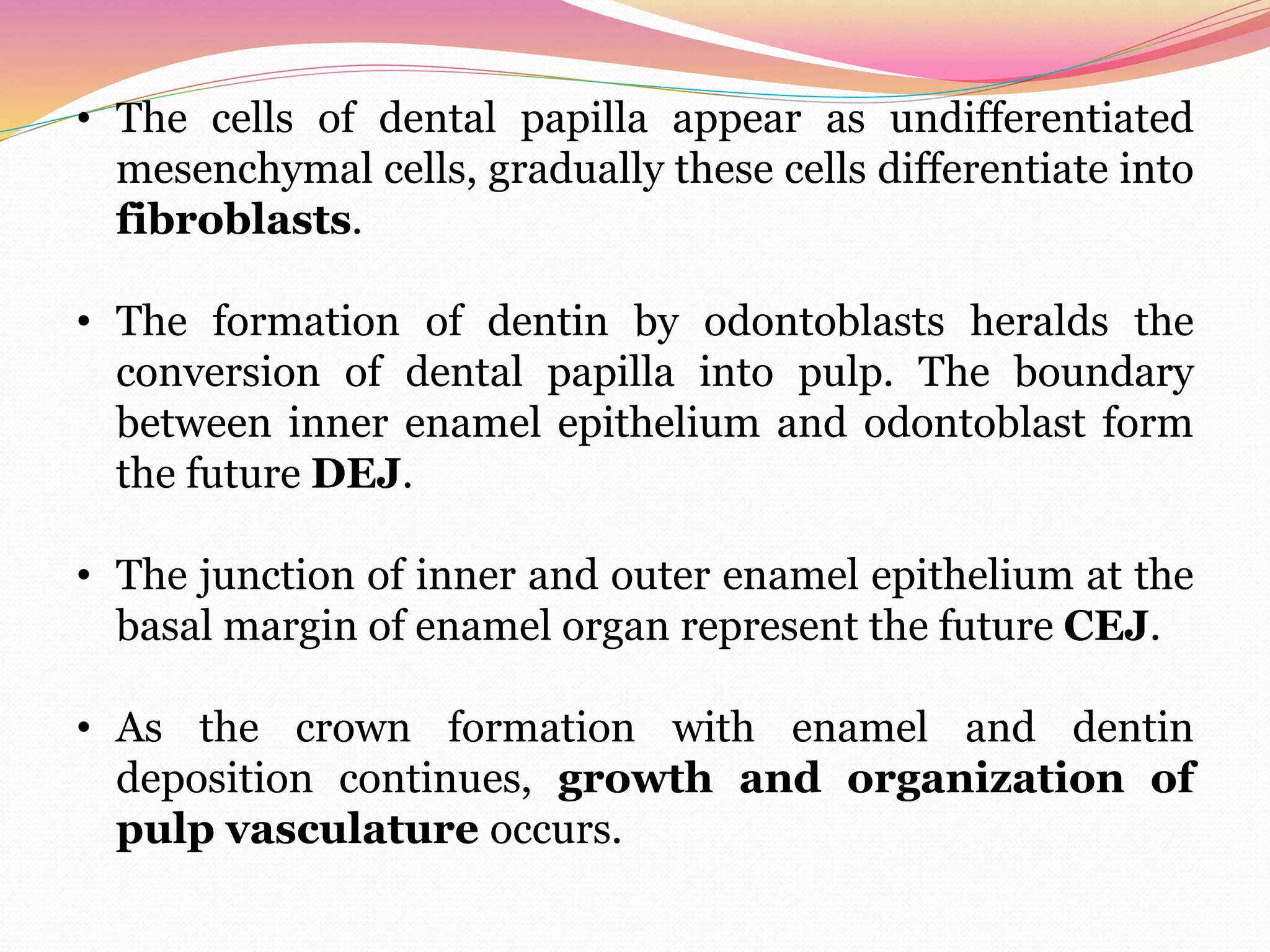 Histology and physiology of the pulp | PDF