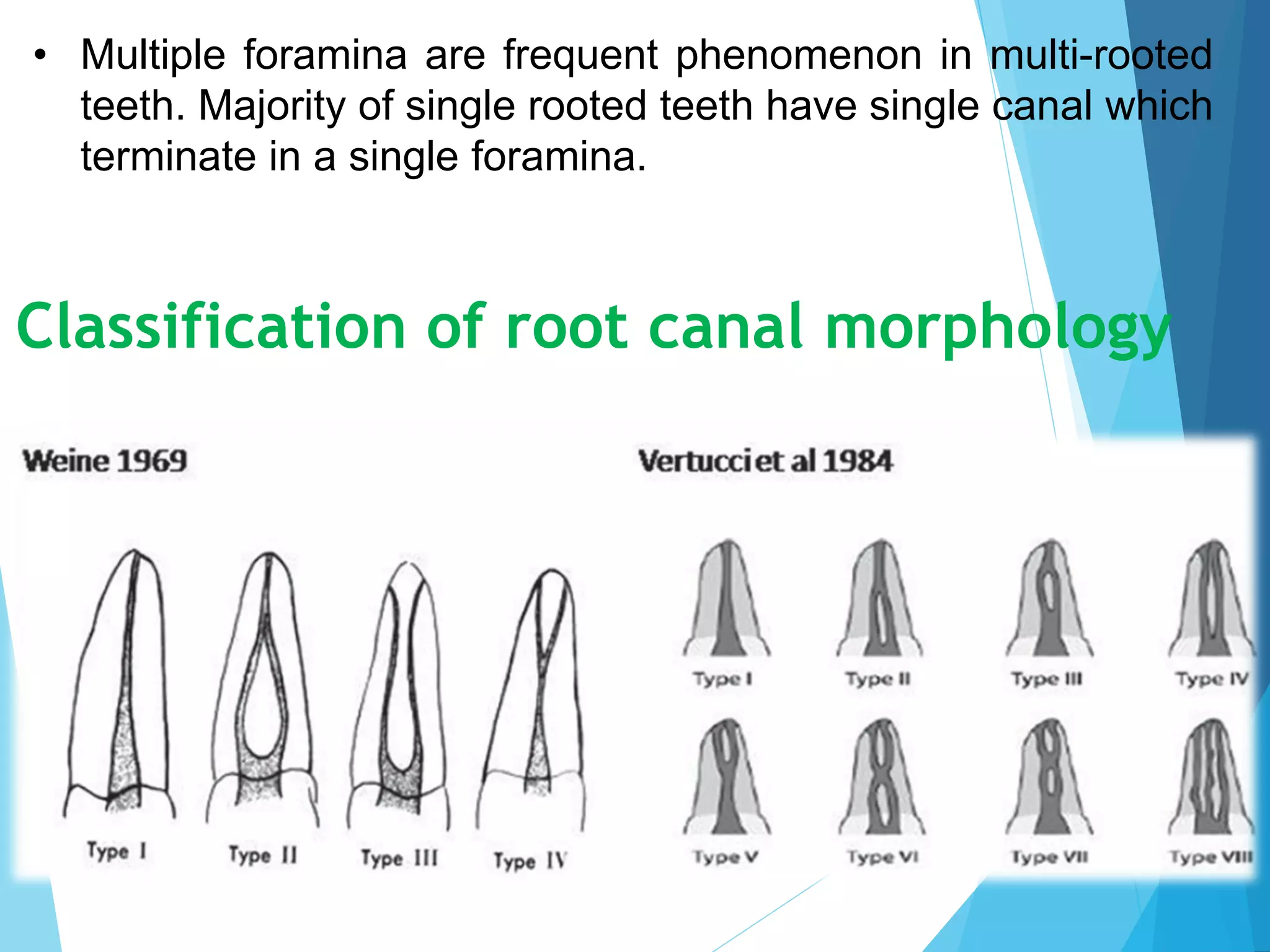 Histology and physiology of the pulp | PDF