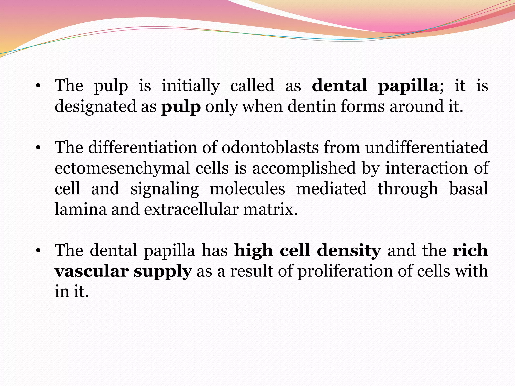 Histology and physiology of the pulp | PDF