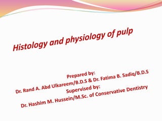 Histology and physiology of the pulp | PDF