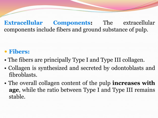Histology and physiology of the pulp | PDF