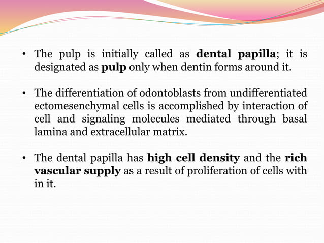 Histology and physiology of the pulp | PDF