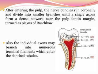 Histology and physiology of the pulp | PPT