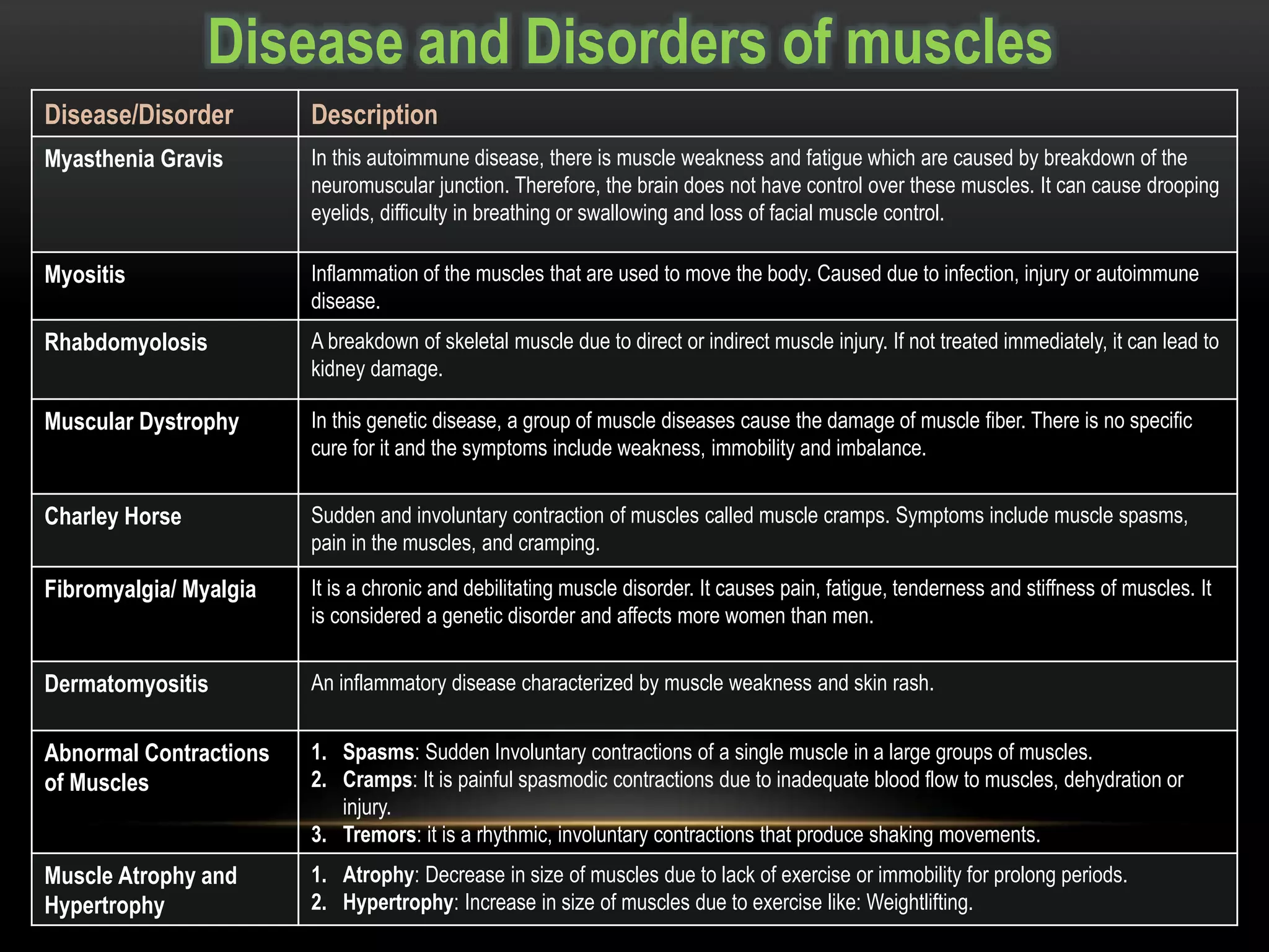 Histology and Physiology of muscle | PPTX